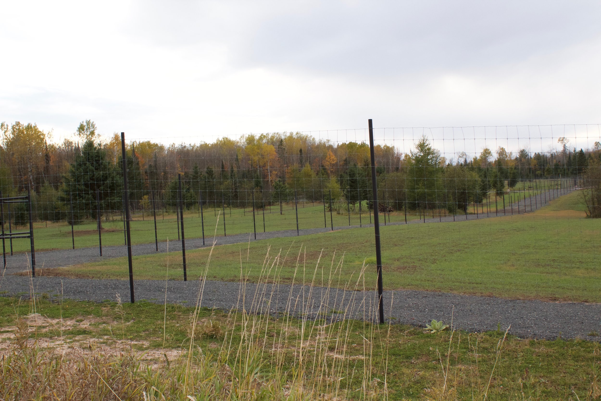 Our Facility — Wide & High Whitetails