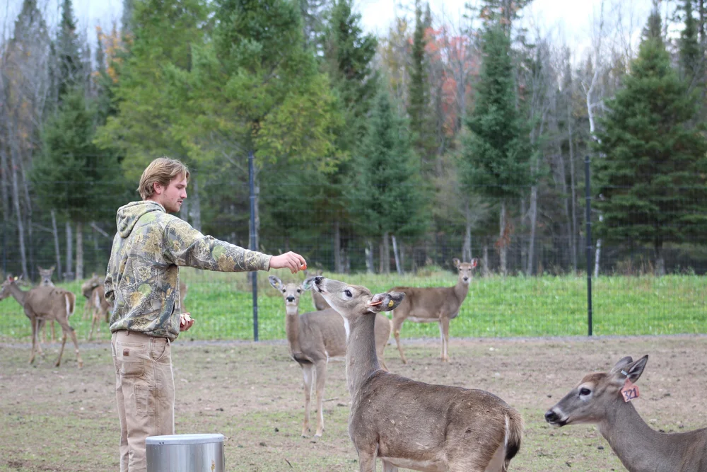 Our Facility — Wide & High Whitetails