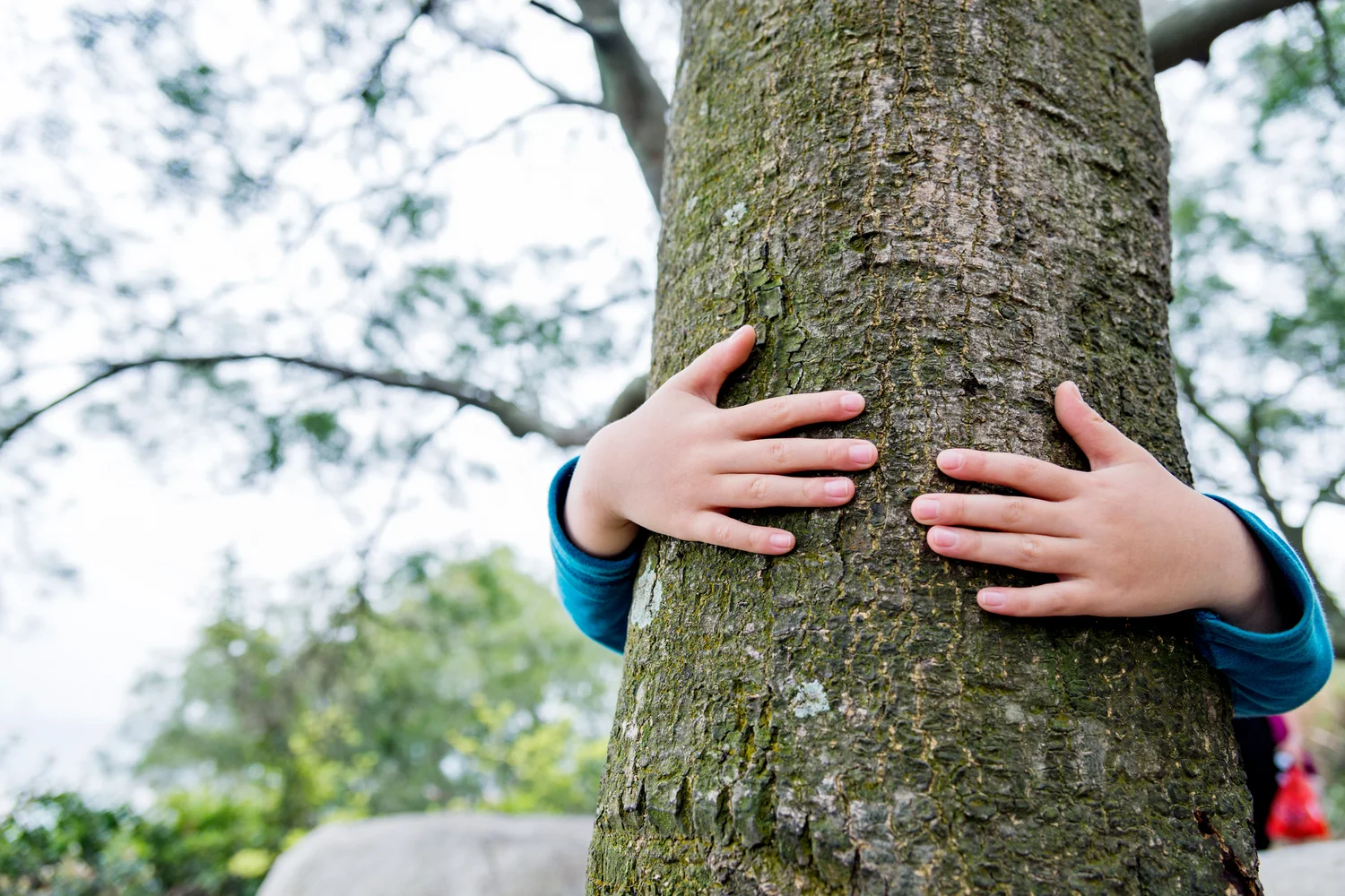 Summer Camp — Groton Country Club