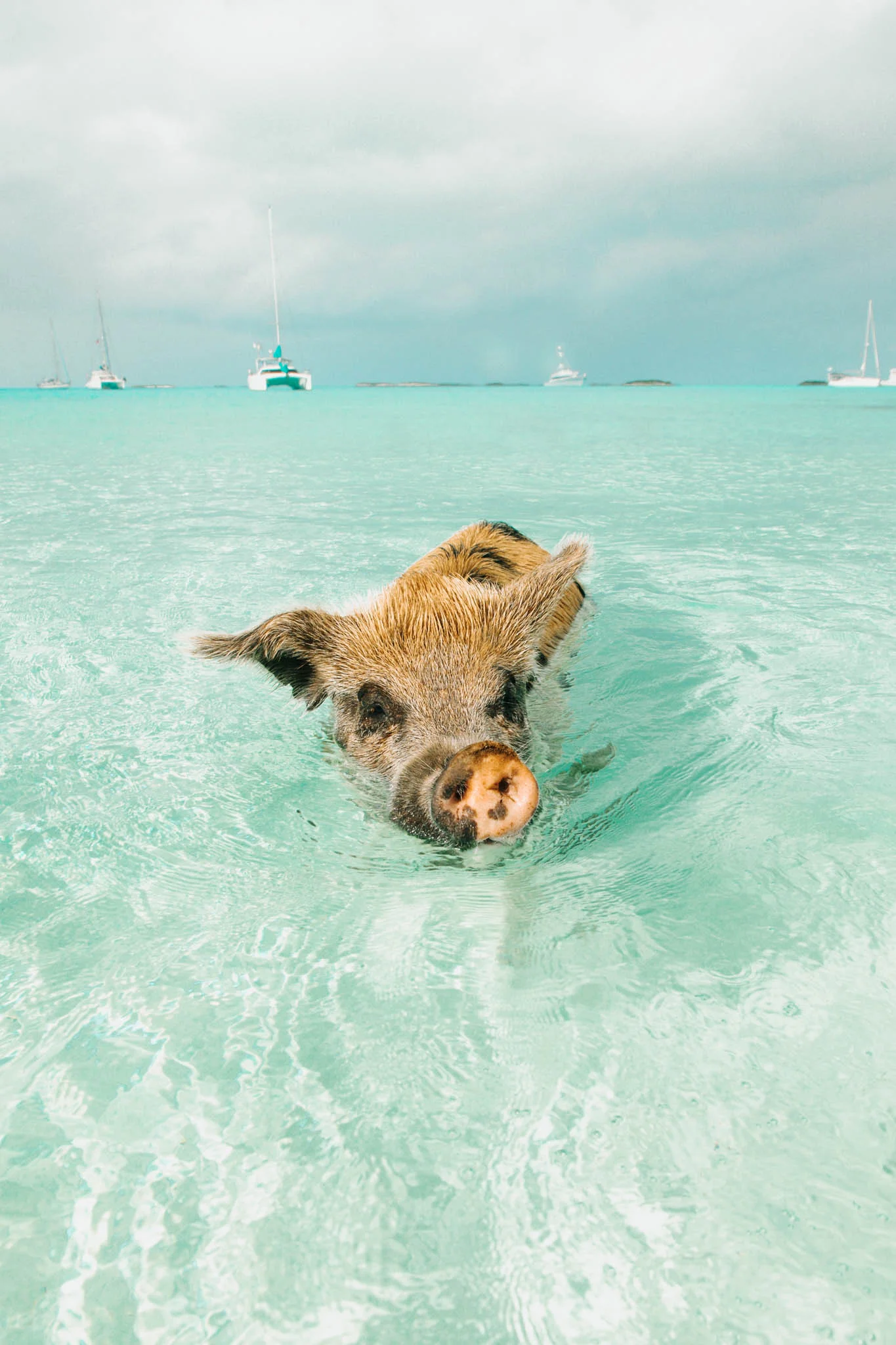 Bahama Travel Guide: Our 11 Day Trip Traveling Through The Islands ...