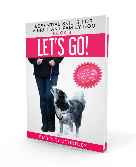 Your dog wasn’t born knowing this! You have to teach her — Brilliant ...