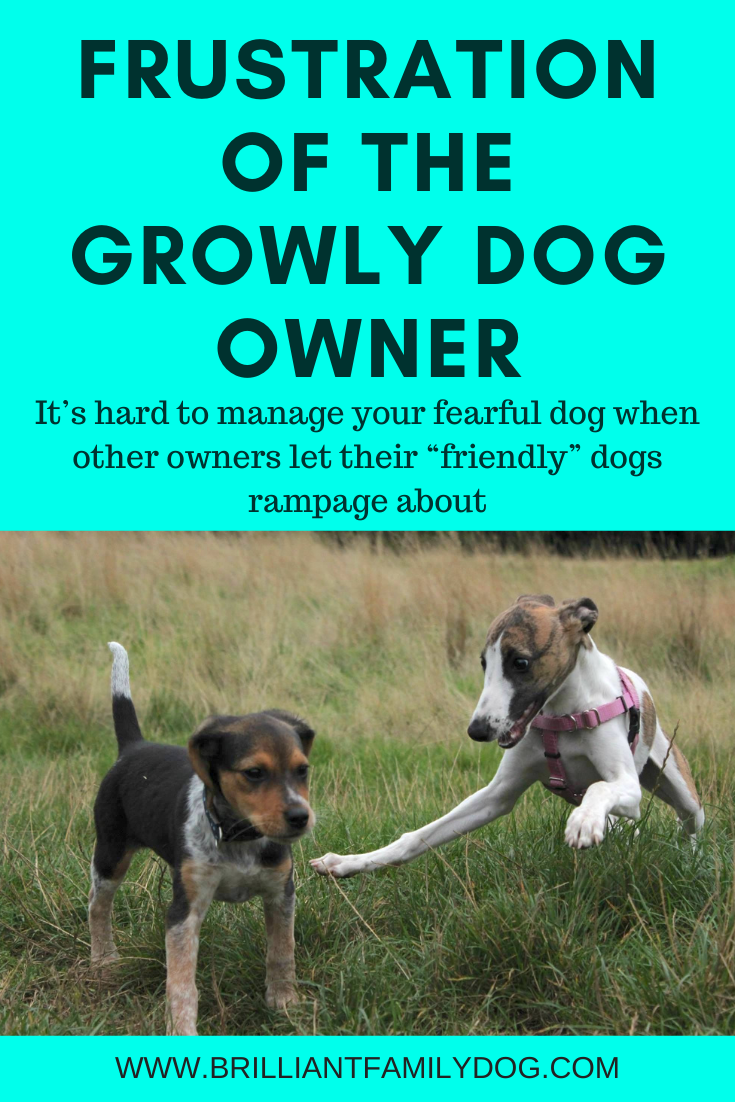 THE FRUSTRATION OF THE GROWLY DOG OWNER: IT’S NOT OTHER FOLKS’ FAULT ...
