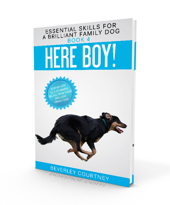 Want to teach your dog an instant recall? — Brilliant Family Dog