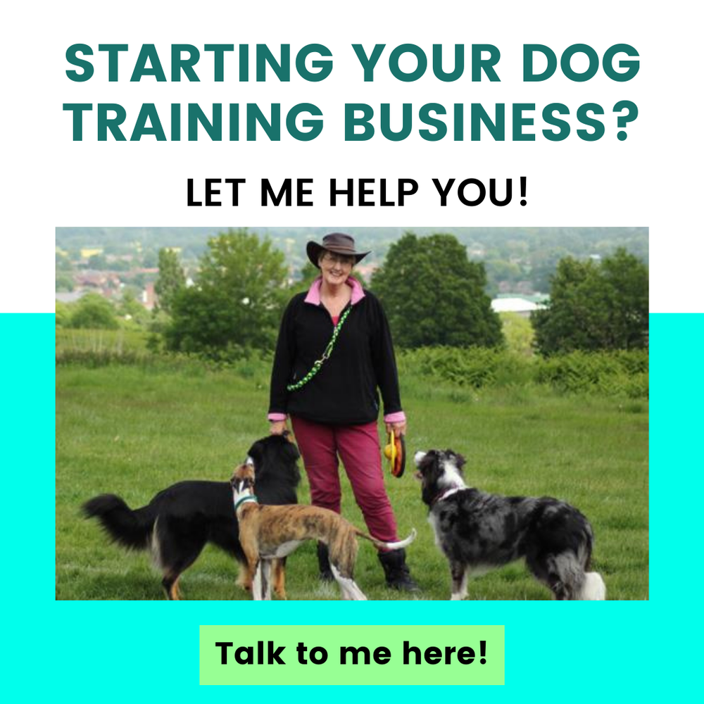 You've learned EVERYTHING about dogs … so why isn't it working ...