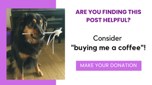 Should you ignore your dog? — Brilliant Family Dog