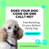 Teaching your dog impulse control through tug - 10 STEPS — Brilliant ...
