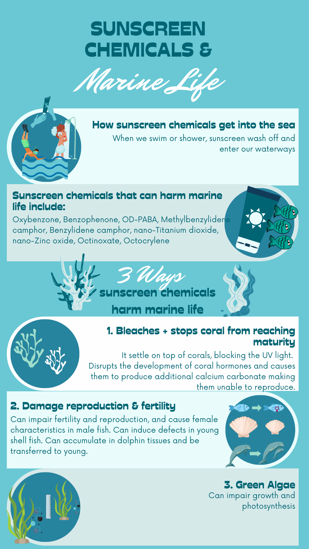 DIY Natural Sunscreen | Safe for Marine Life and Babies — Hanne Robinson