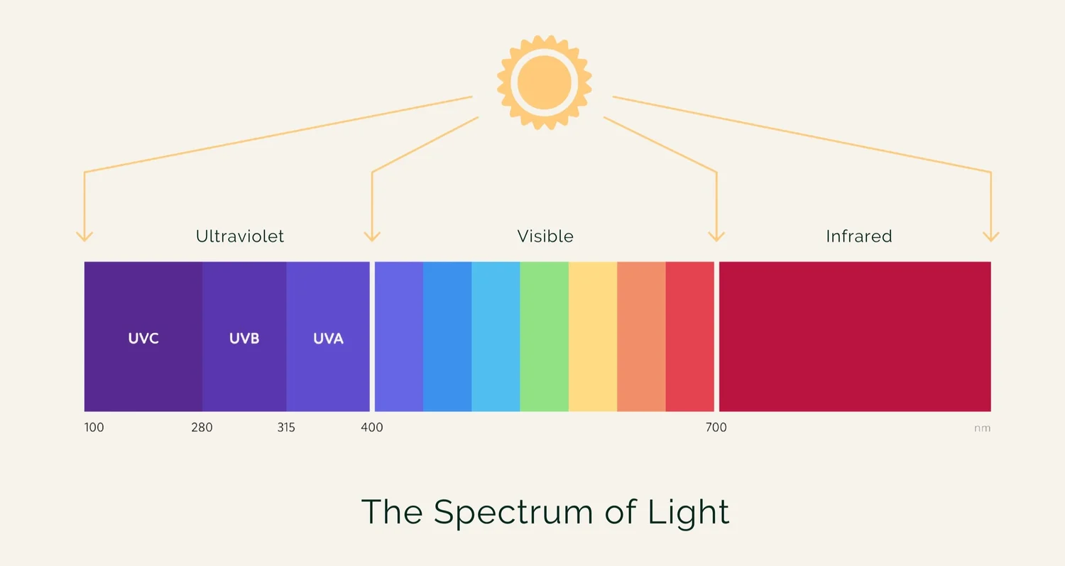 7 Health-Boosting Benefits of Morning Sunlight I 5 Tips to Get it into ...