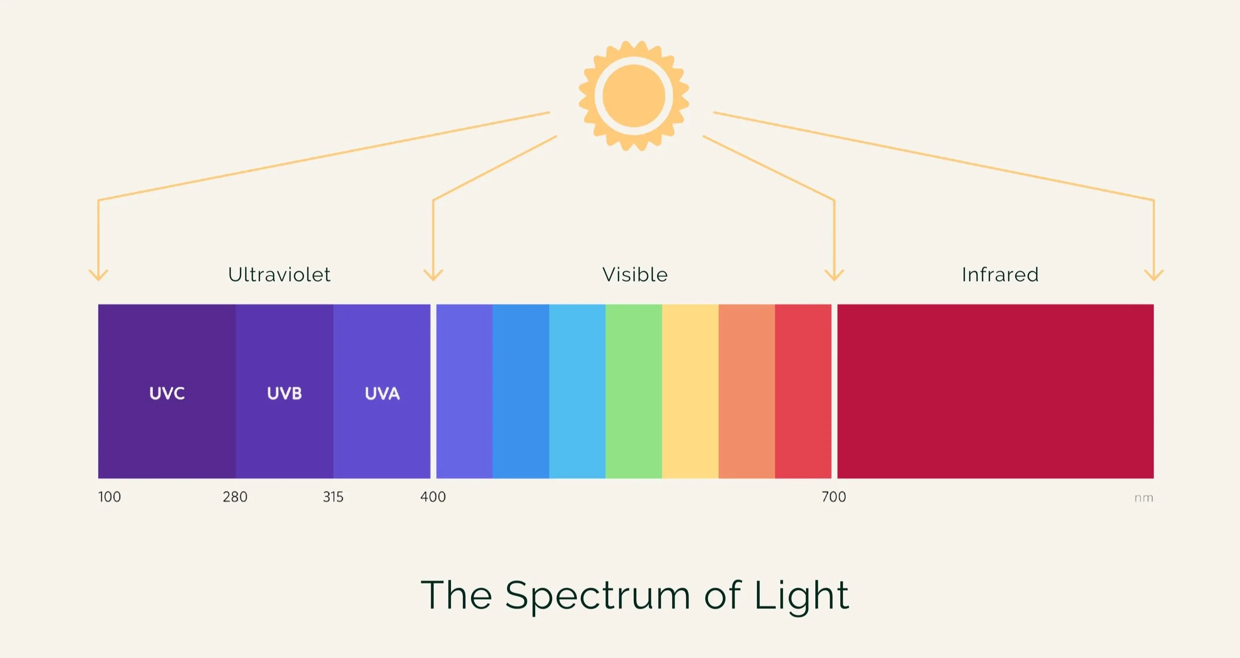7 Health-Boosting Benefits of Morning Sunlight I 5 Tips to Get it into ...