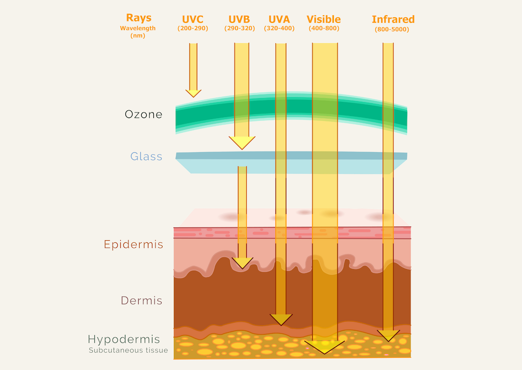Red Light Therapy Guide | Benefits, How It Works, and How to Get ...