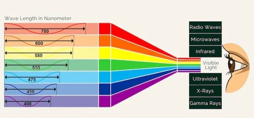 7 Health-Boosting Benefits of Morning Sunlight I 5 Tips to Get it into ...