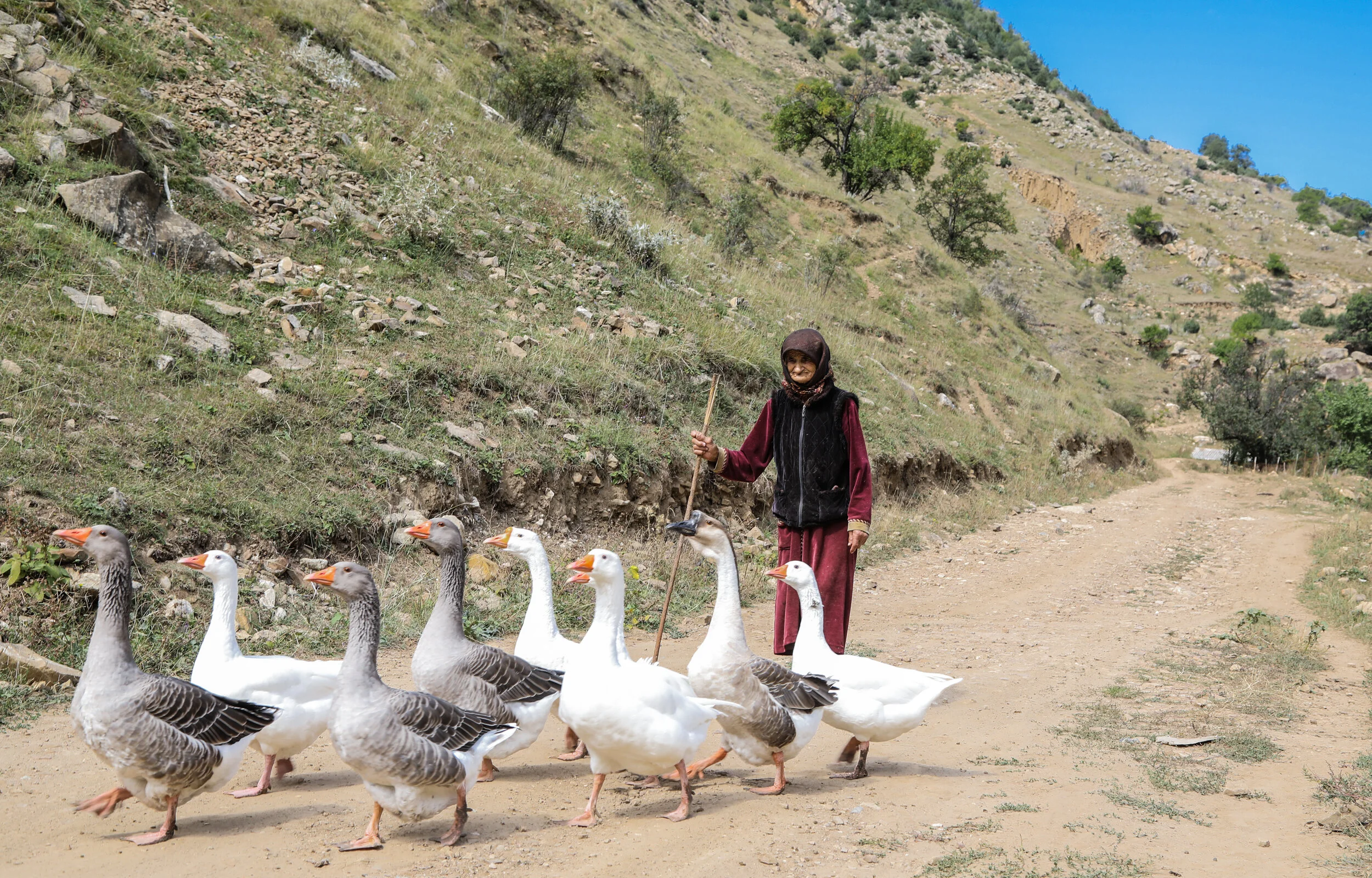 Dagestan Tours