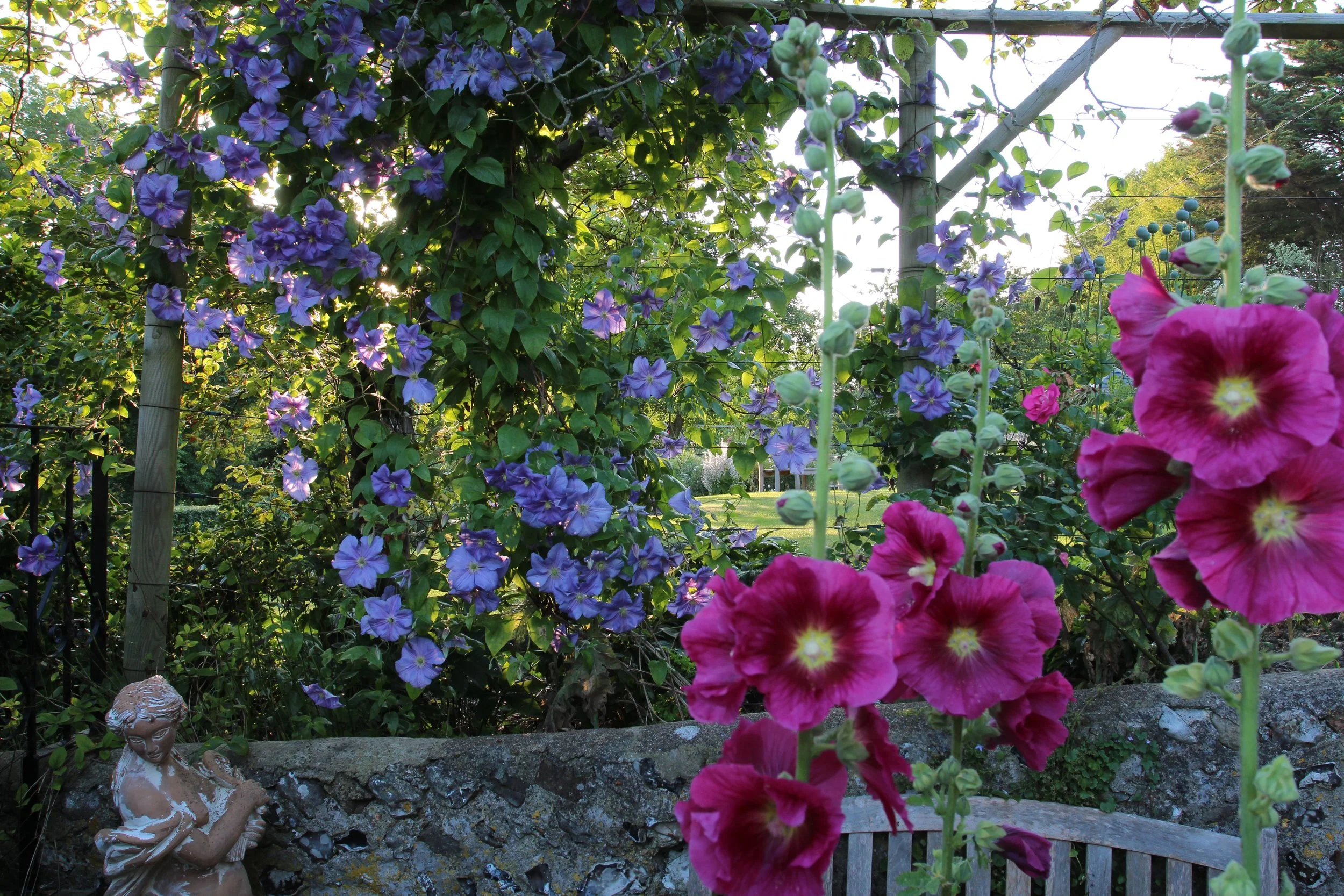 Plant Gallery — The Long House Garden