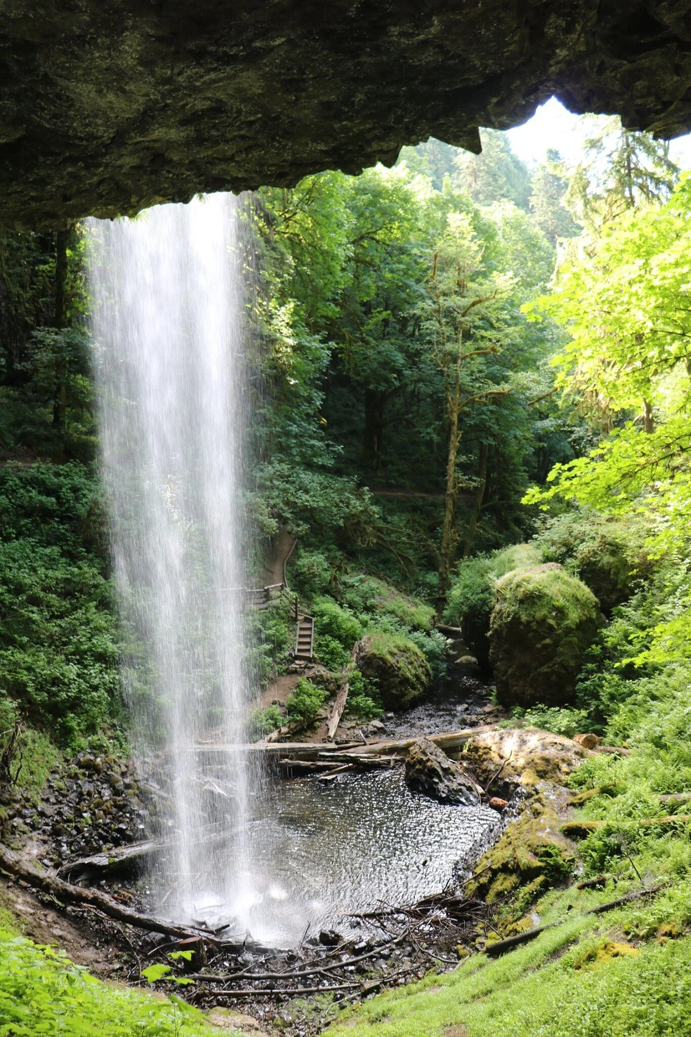 State Forests Trust of Oregon