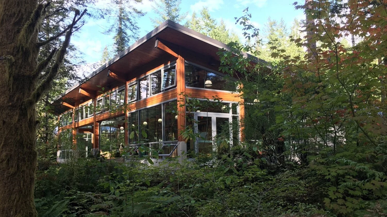 State Forests Trust of Oregon