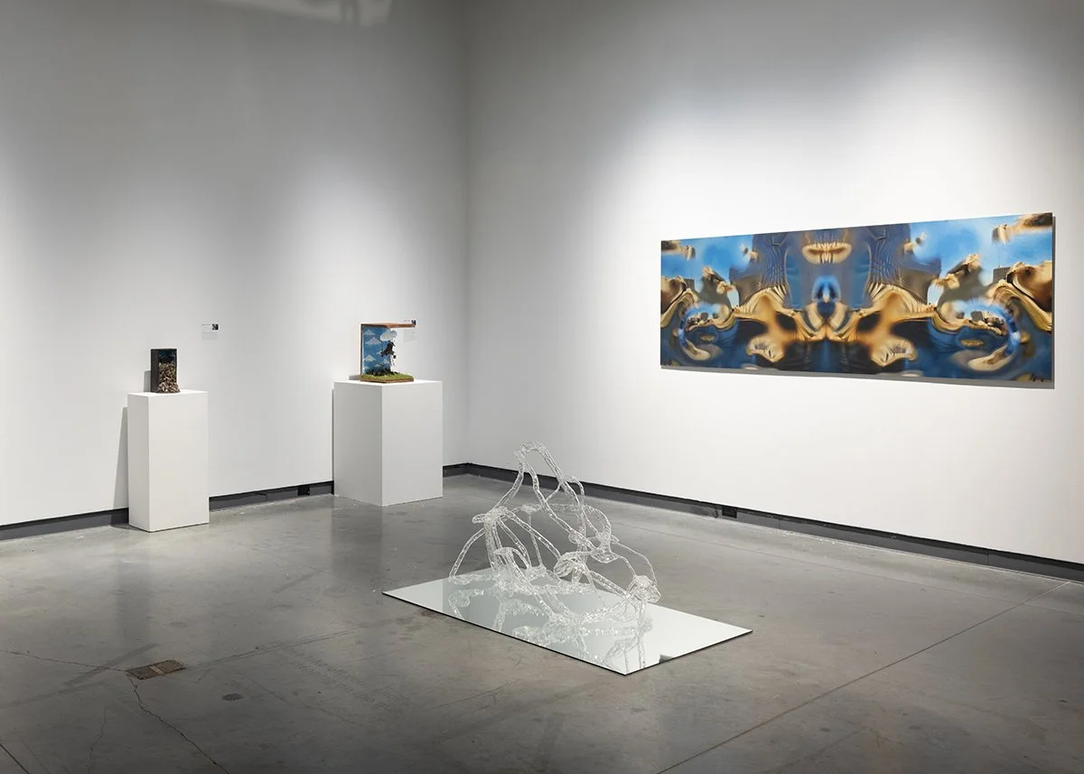 Through A Glass, Darkly - Environment — The Delaware Contemporary