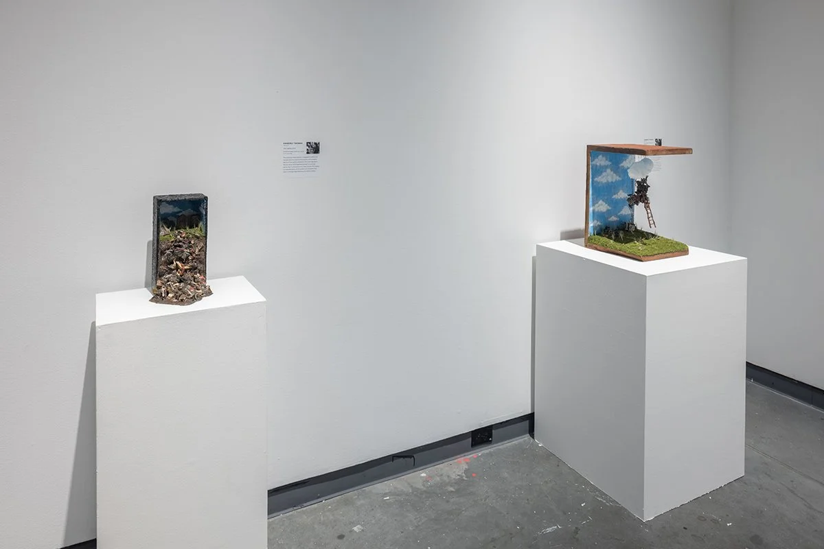 Through A Glass, Darkly - Environment — The Delaware Contemporary