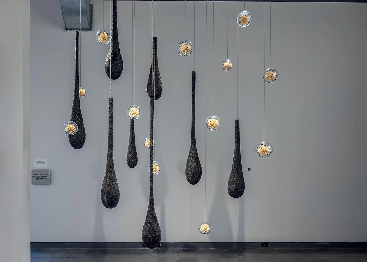 Through A Glass, Darkly - Ancestry — The Delaware Contemporary