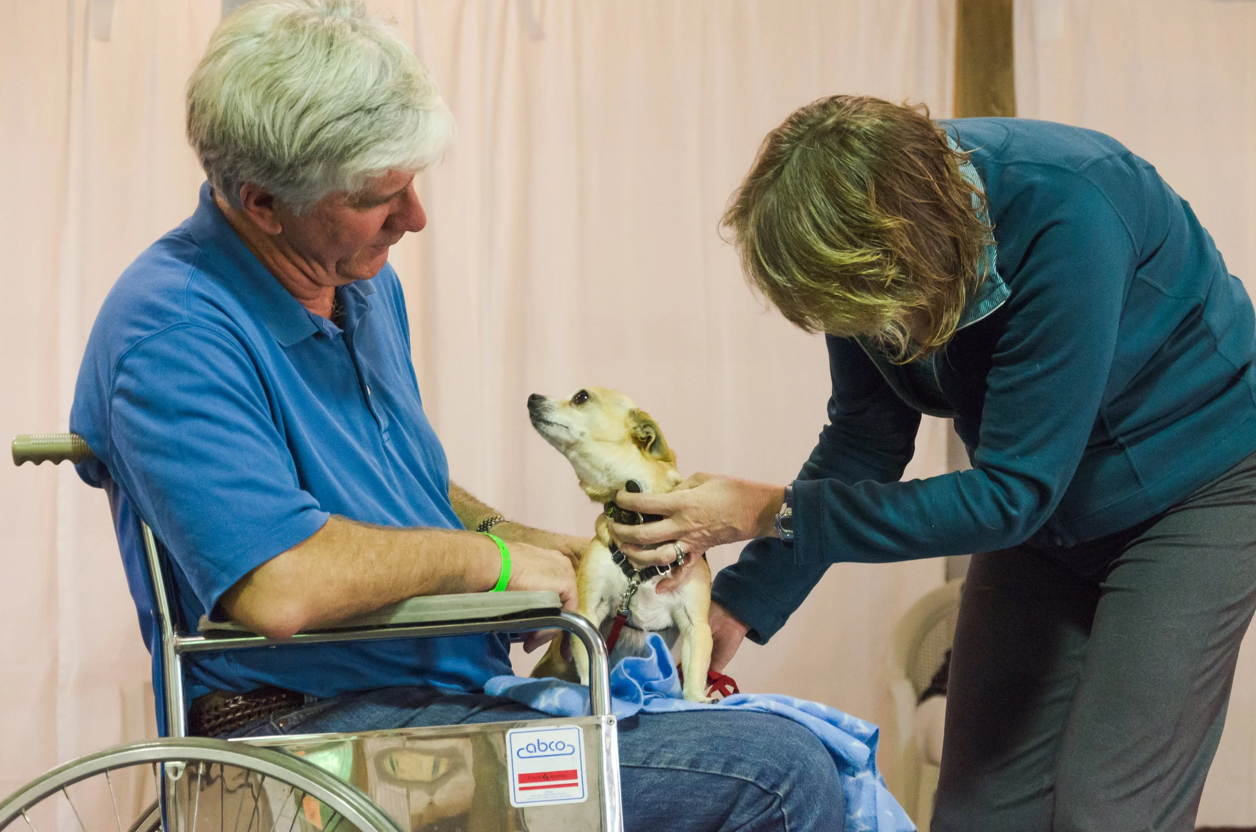 Group and individual animal-assisted therapy services — Healing Paws Inc.