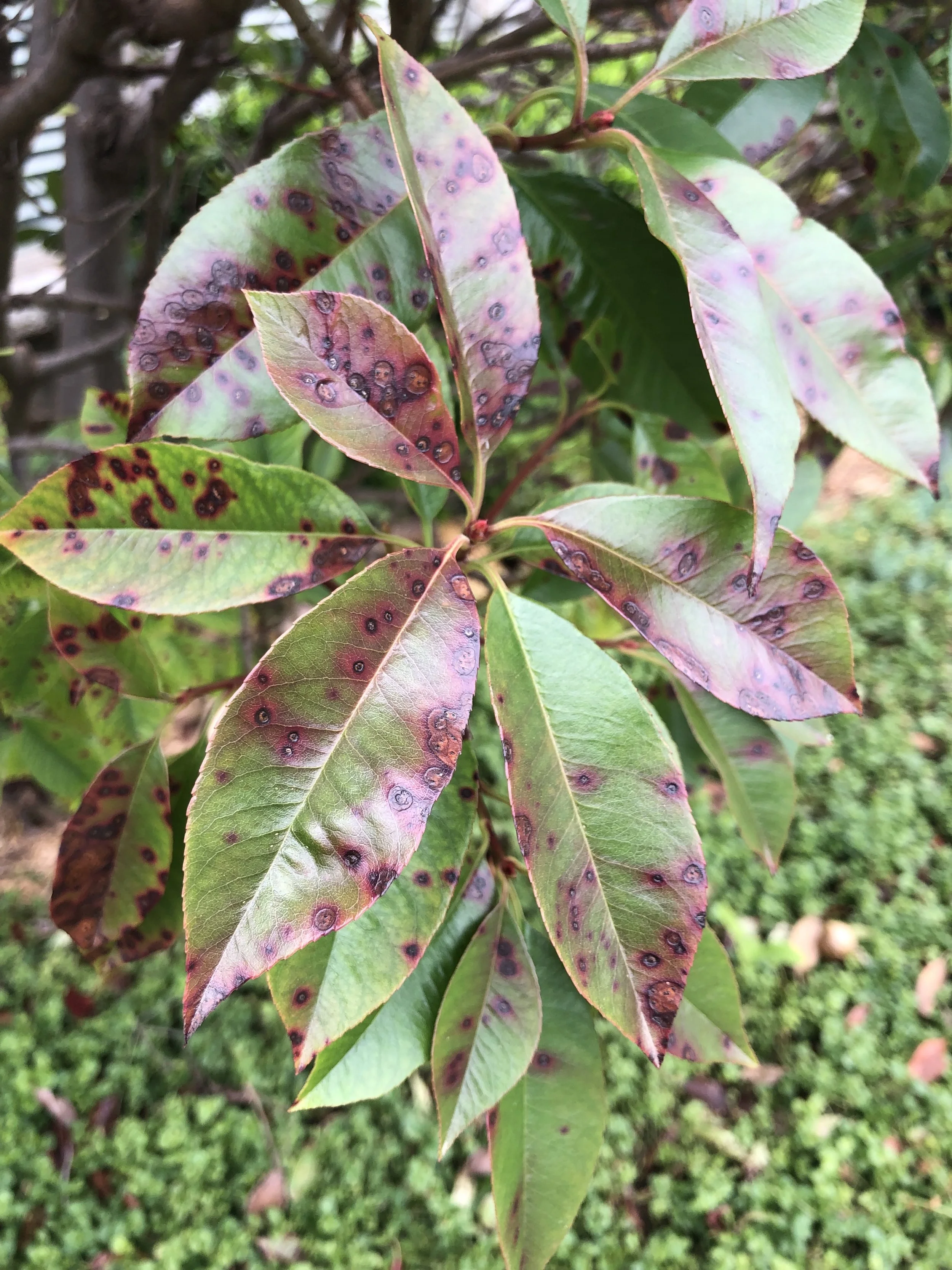 rain — BLOG — Hall | Stewart Lawn & Landscape