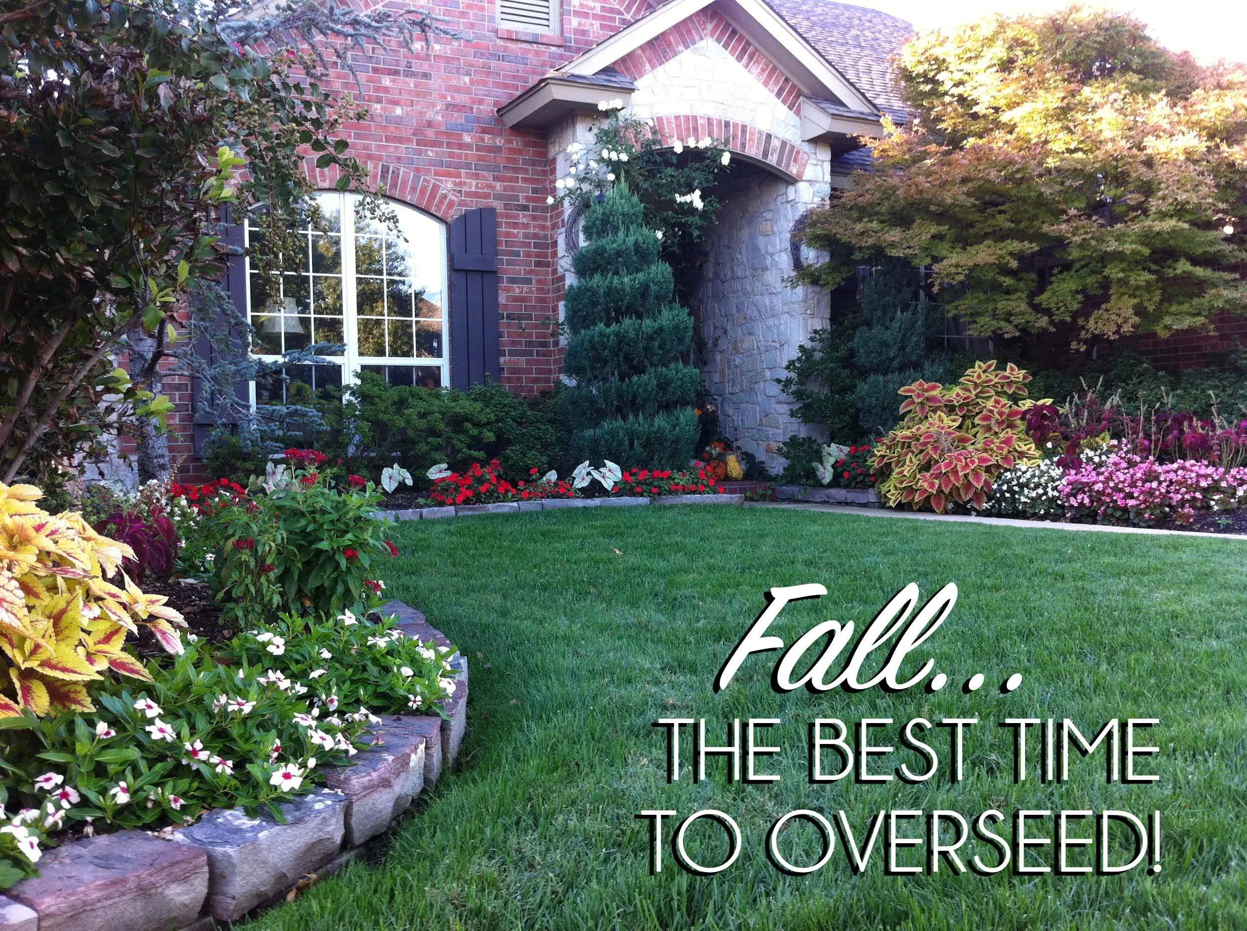 Fall... the absolute best time to establish fescue! — Hall | Stewart ...