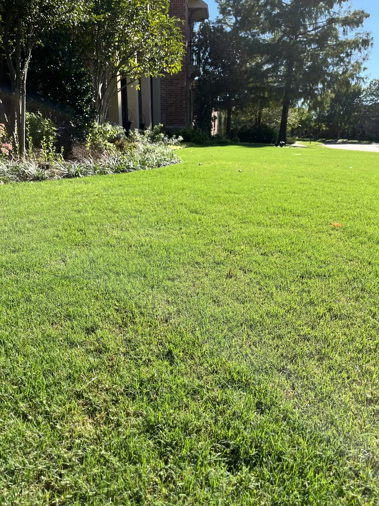 The Fall Pre-Emergent – The Application That Sets Your Lawn Up For ...
