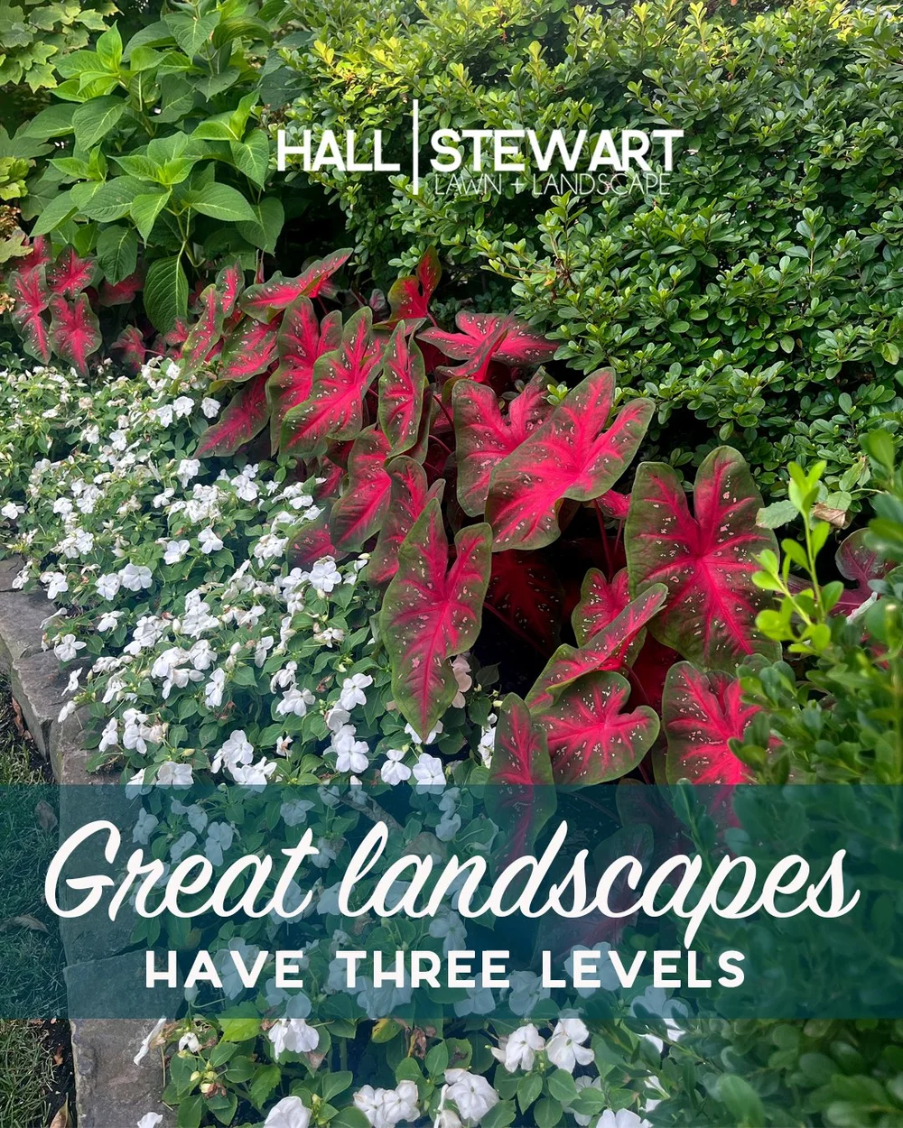 Great Landscape Plantings Have 3 Levels — Hall | Stewart Lawn & Landscape