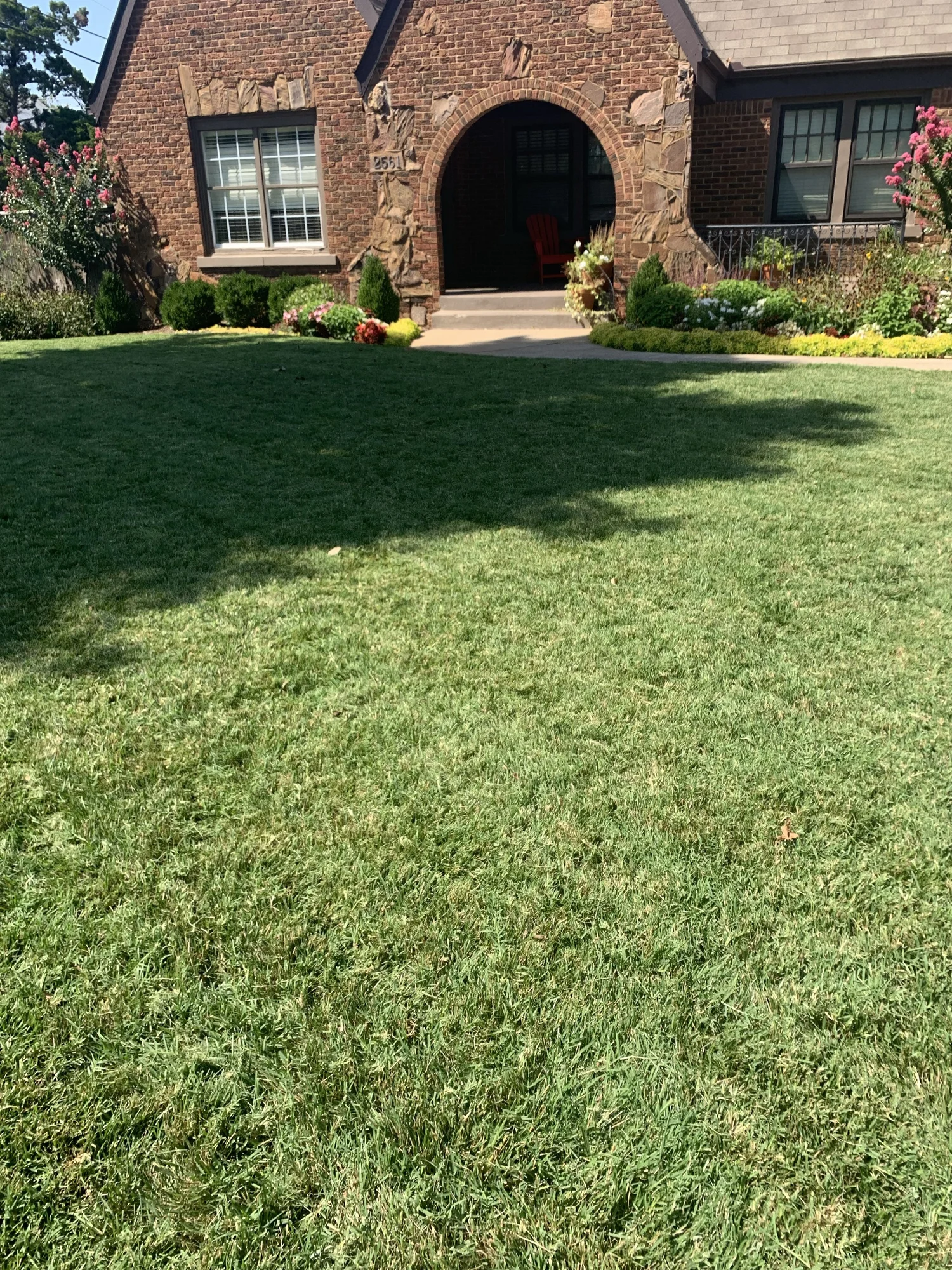 The Fall Pre-Emergent – The Application That Sets Your Lawn Up For ...