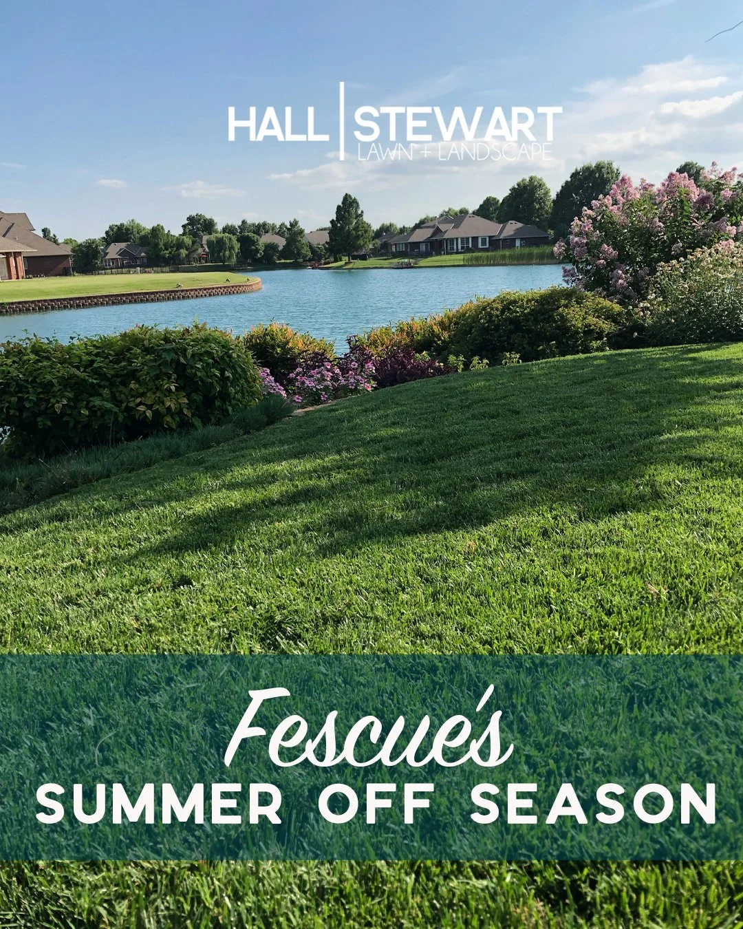 Fescue’s Summer Off Season — Hall | Stewart Lawn & Landscape