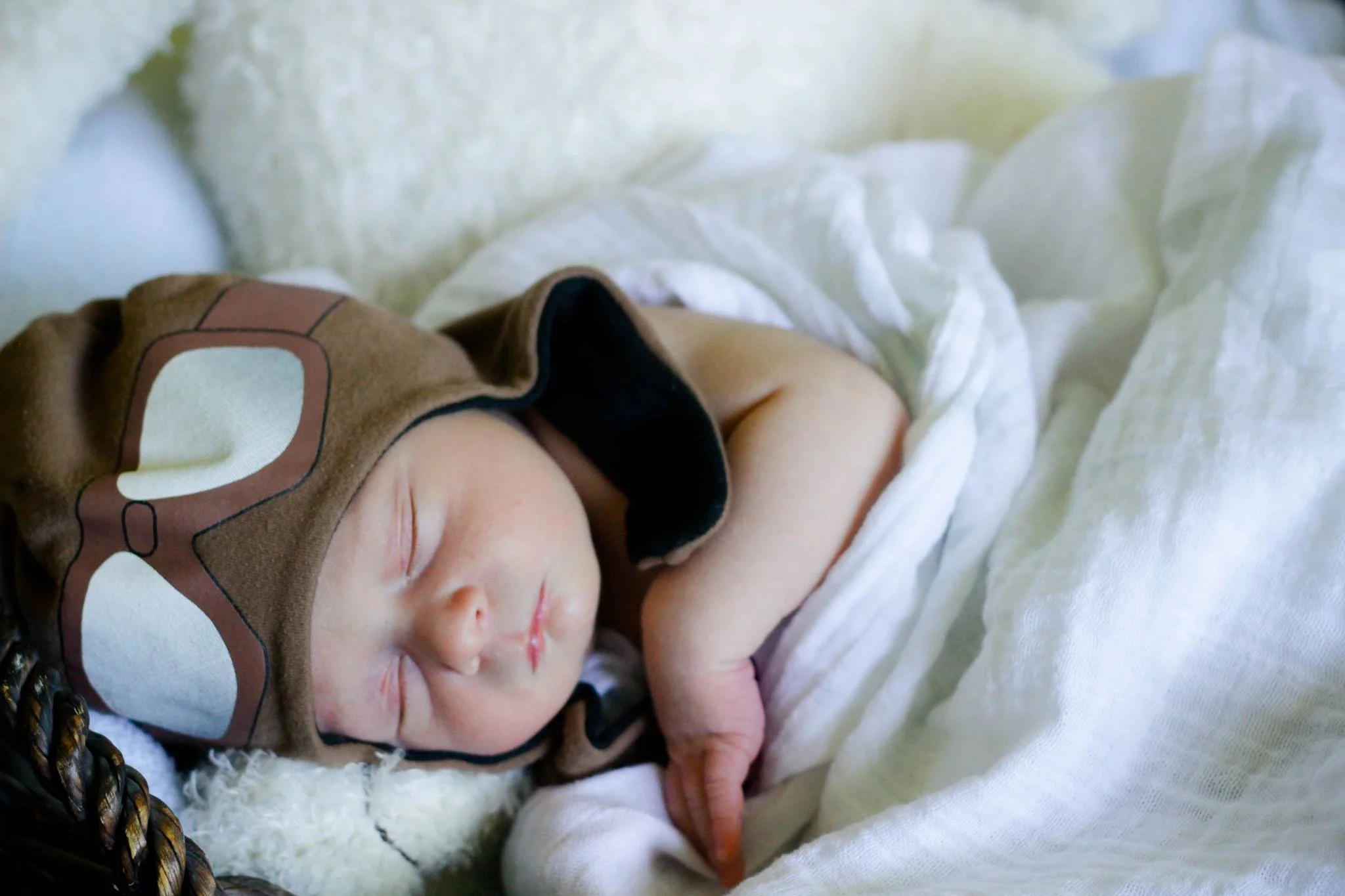 Colorado Springs Family Photographer | Denver Family Photographer ...