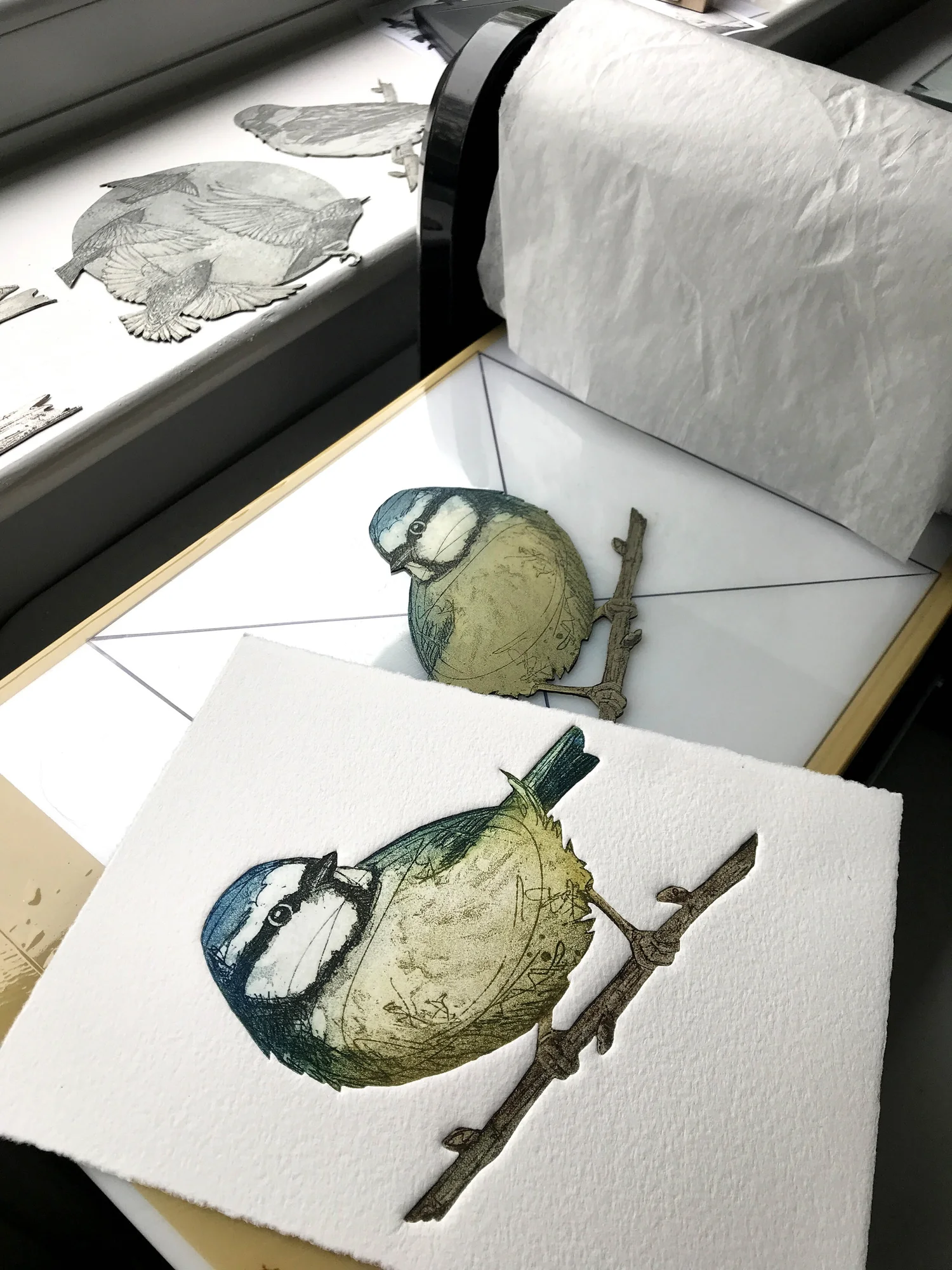 Jenny McCabe Artist | Printmaker