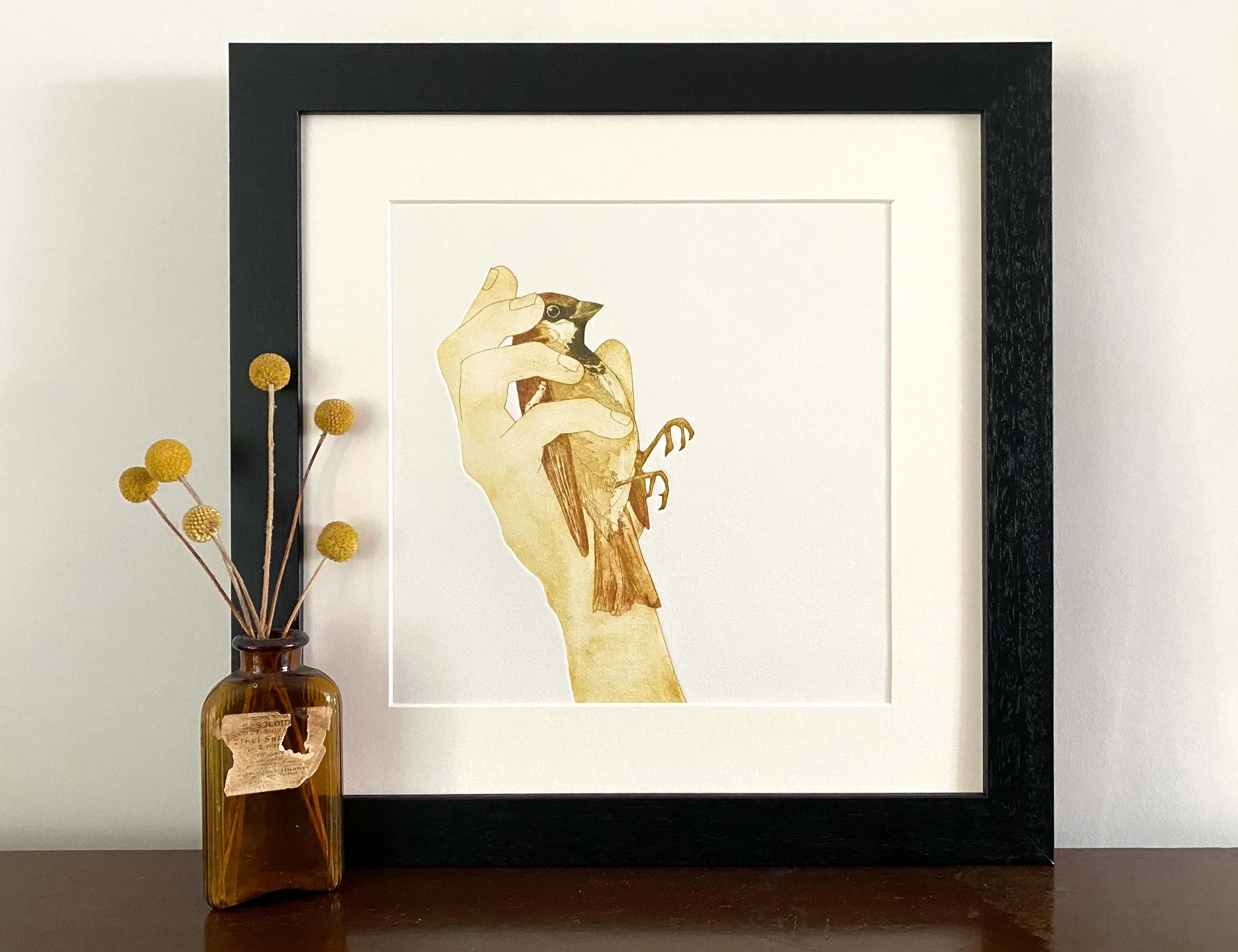 Jenny McCabe Artist | Printmaker