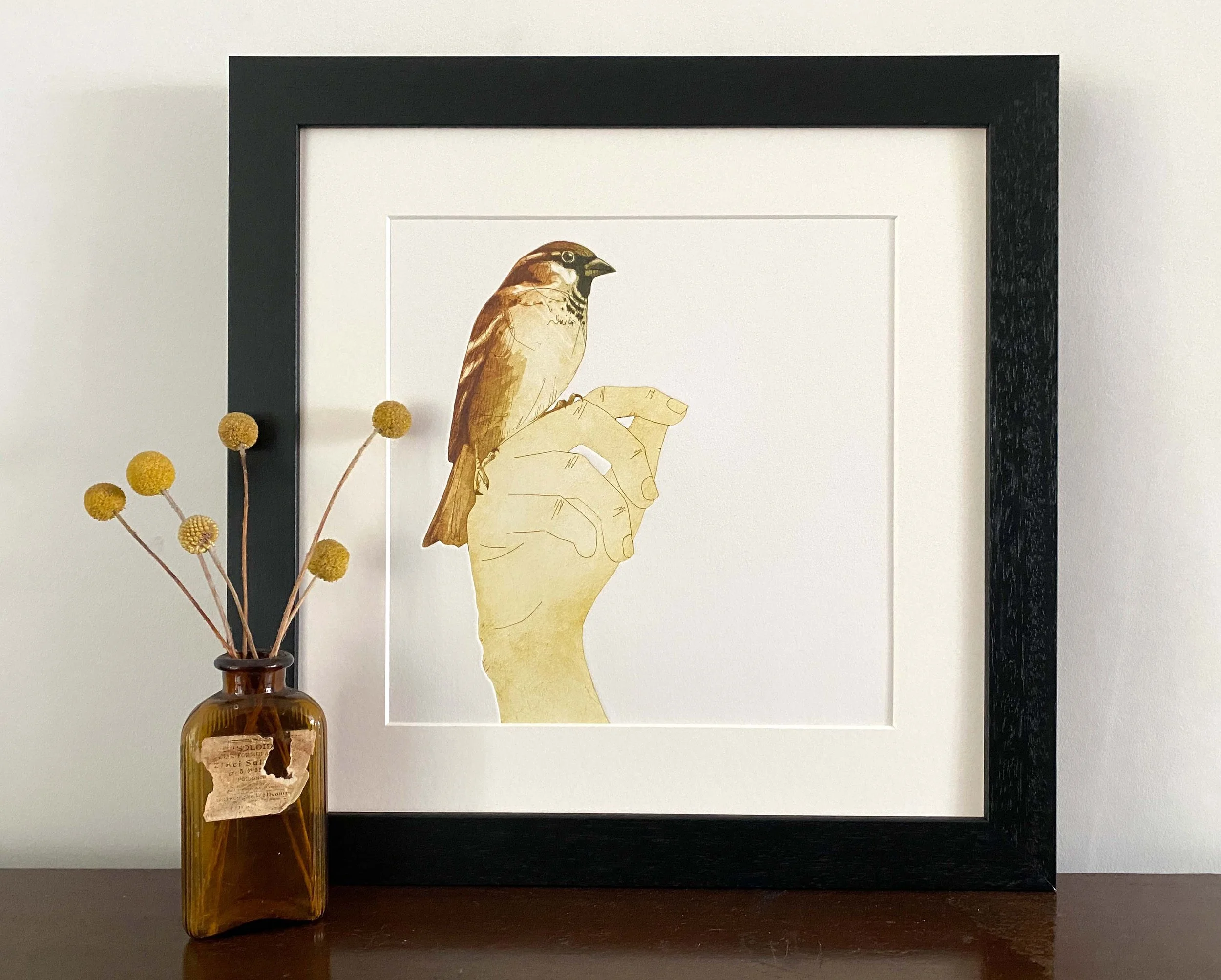 Jenny McCabe Artist | Printmaker