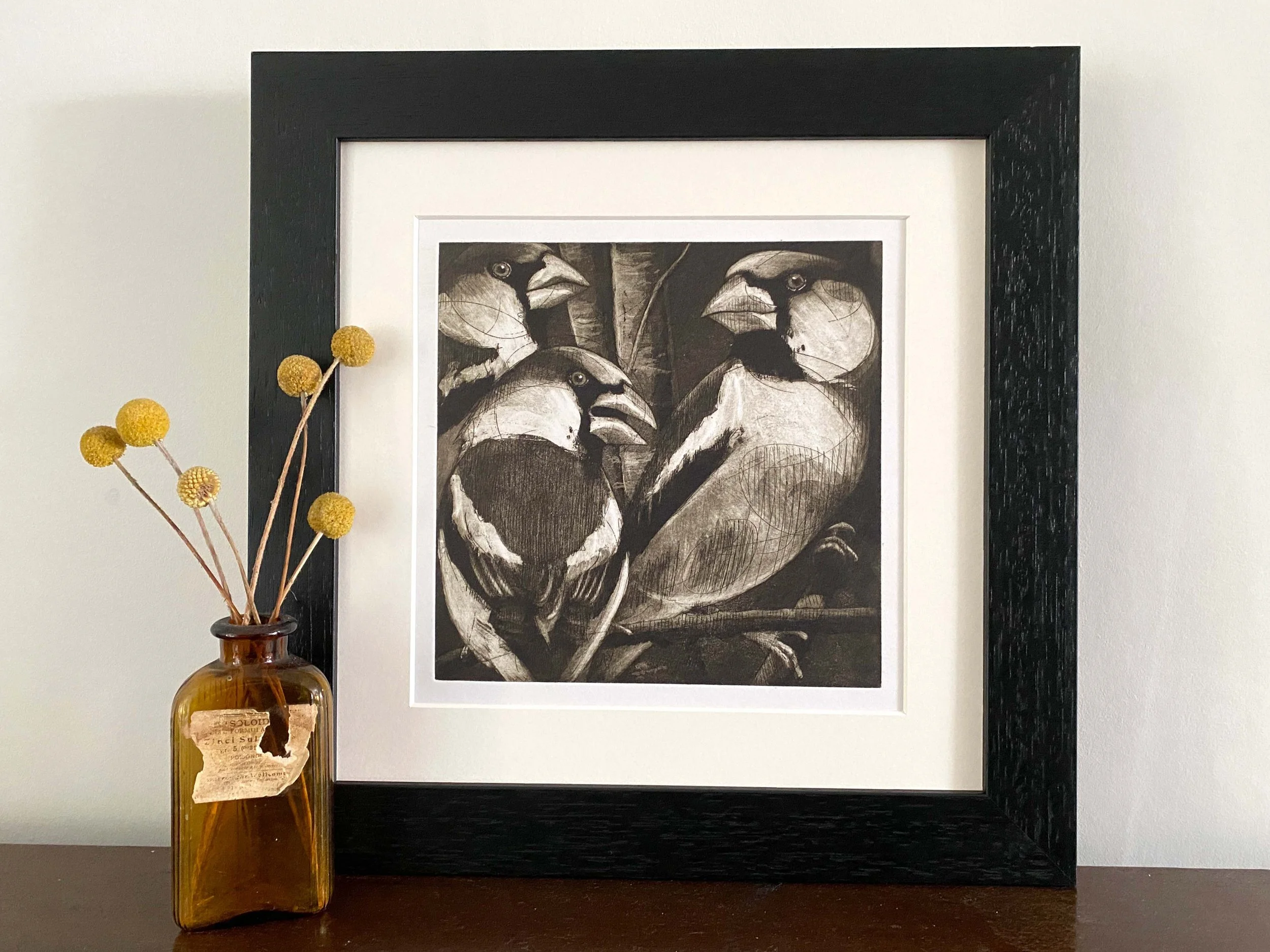 Jenny McCabe Artist | Printmaker