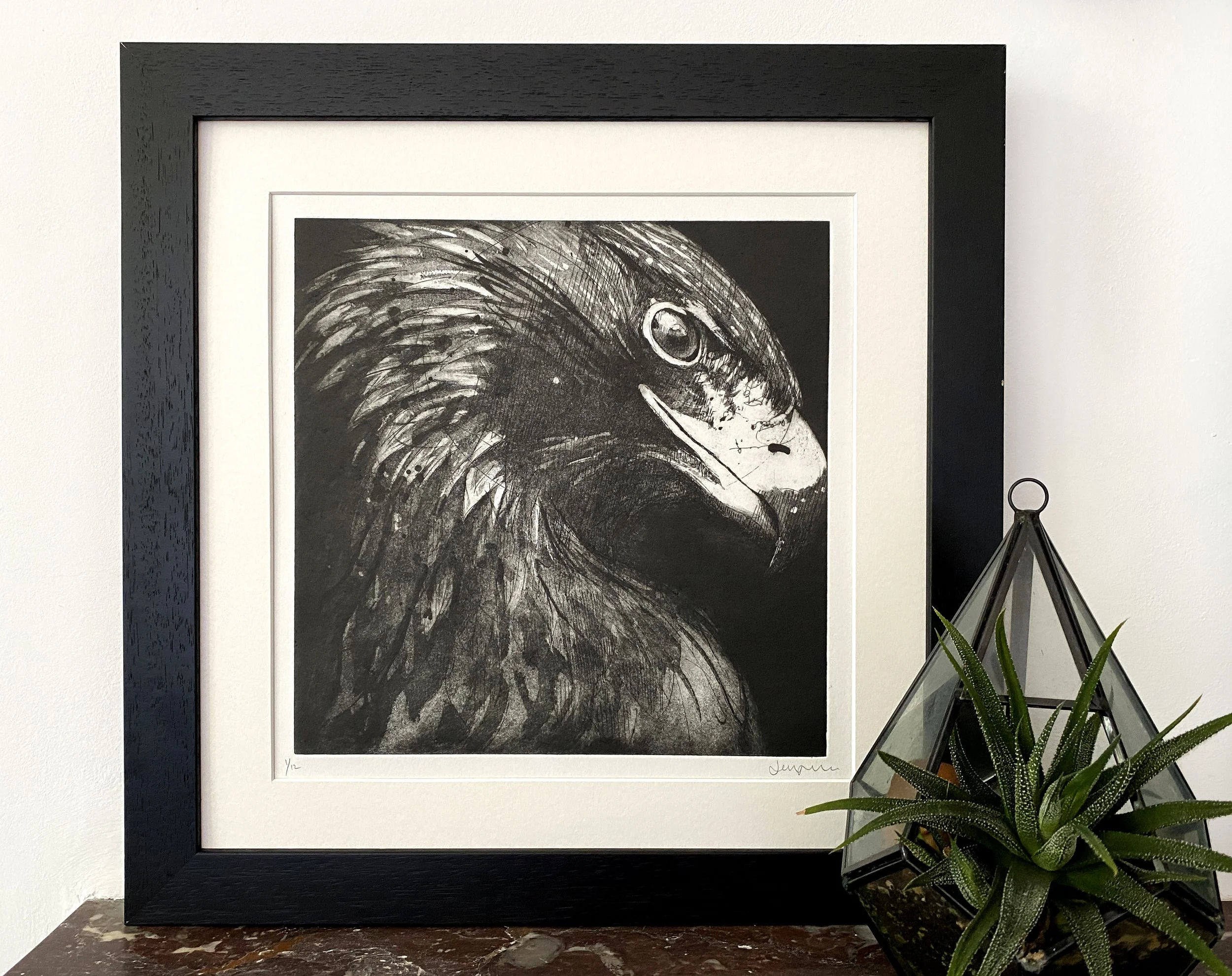 Jenny McCabe Artist | Printmaker