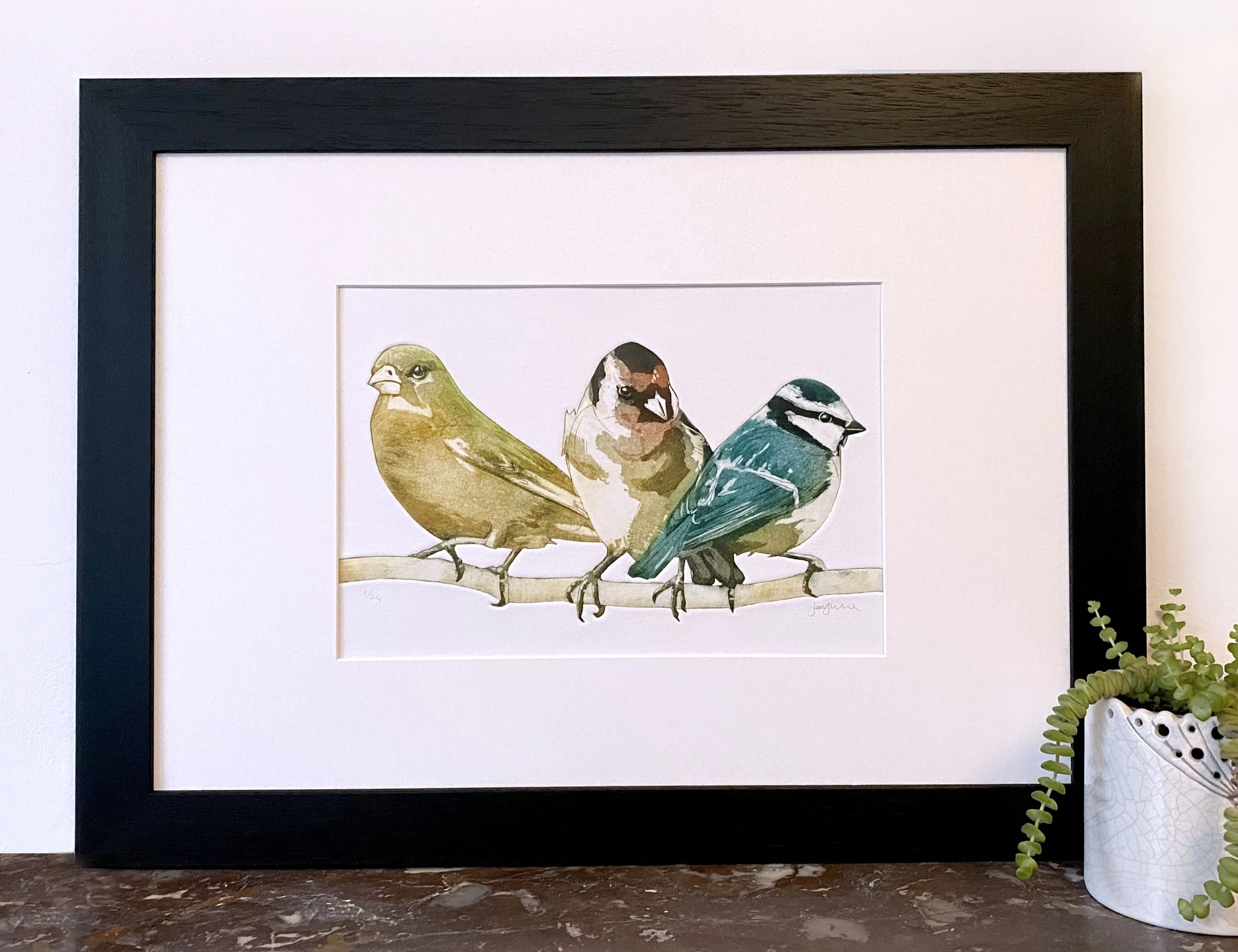 Jenny McCabe Artist | Printmaker