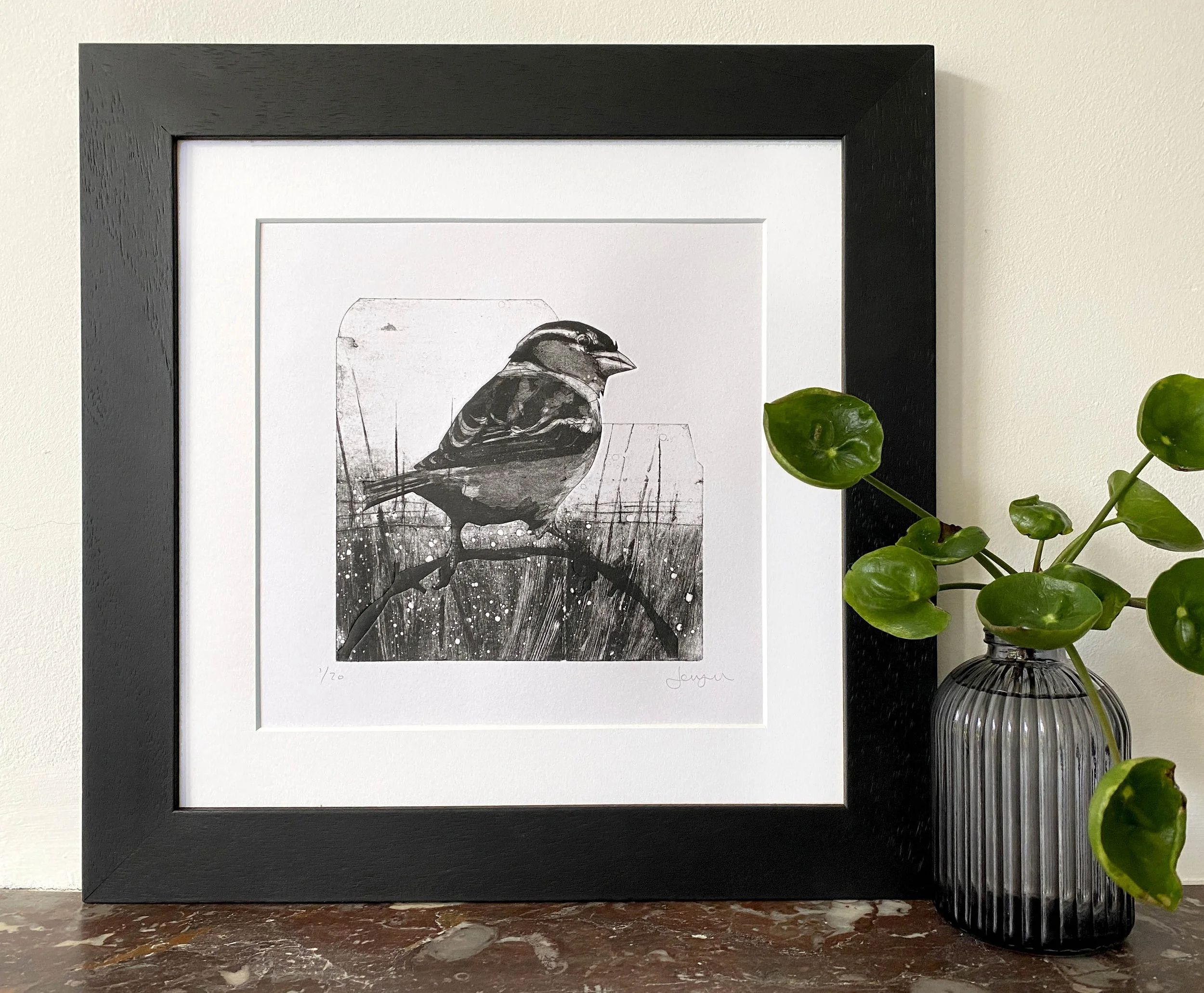 Jenny McCabe Artist | Printmaker