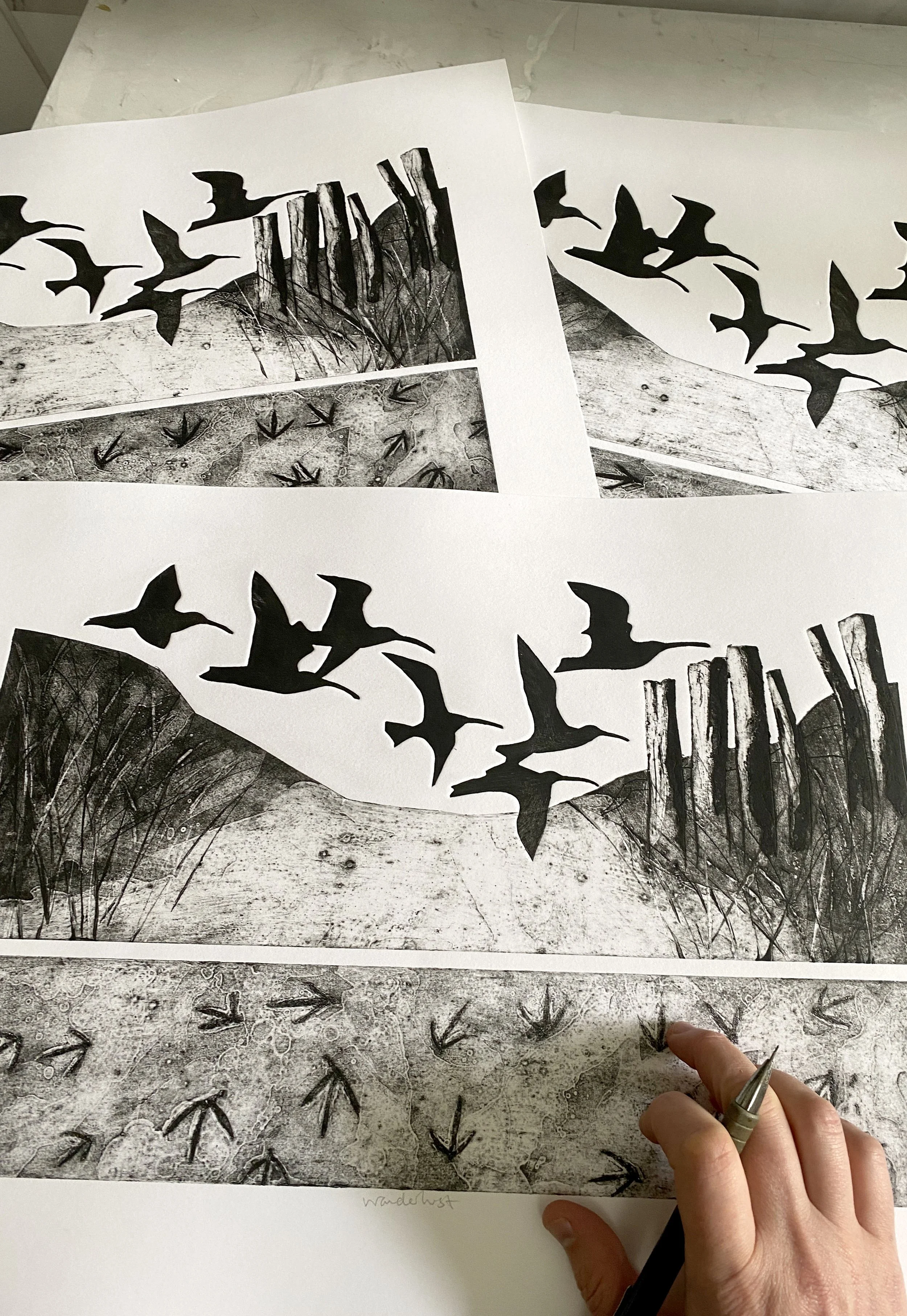 Jenny McCabe Artist | Printmaker