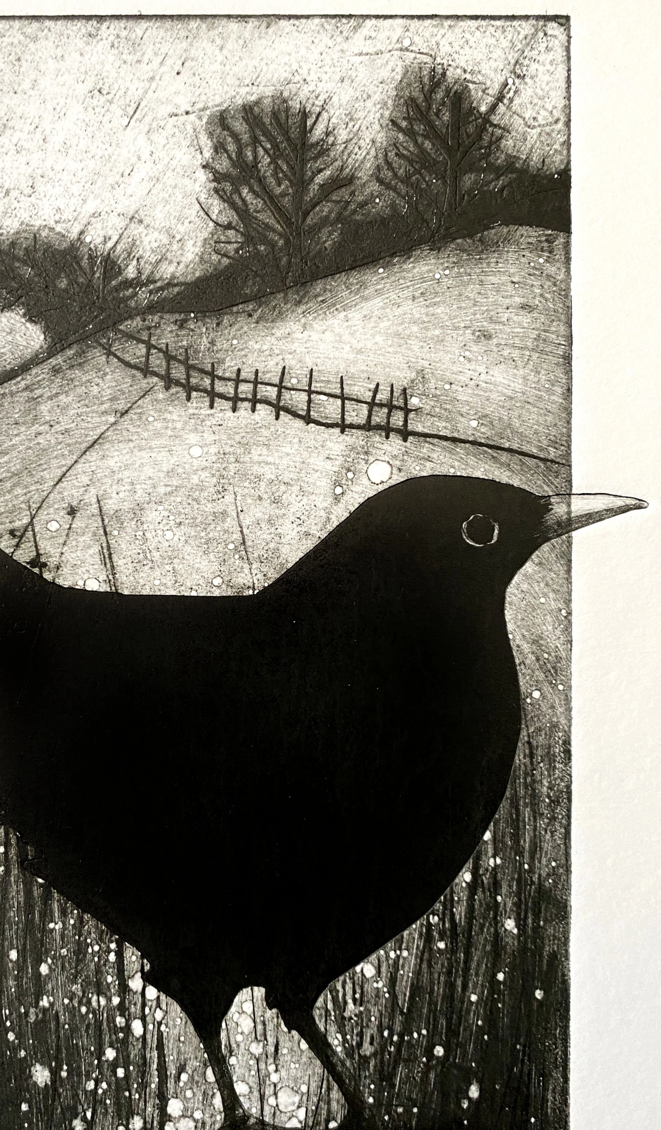 Jenny McCabe Artist | Printmaker