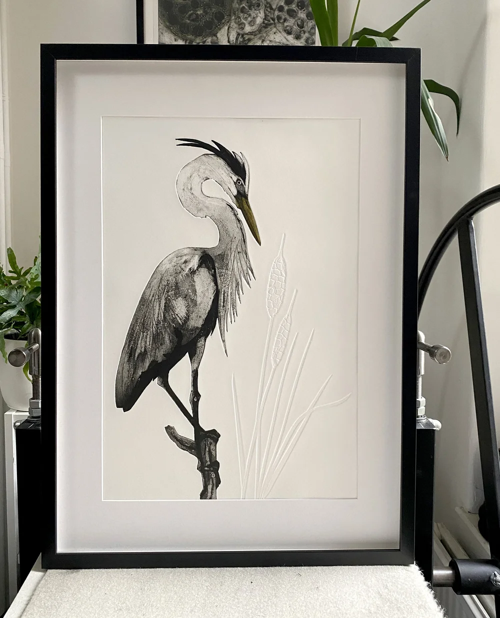 Jenny McCabe Artist | Printmaker