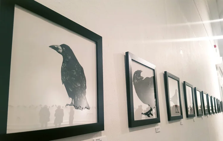 Jenny McCabe Artist | Printmaker