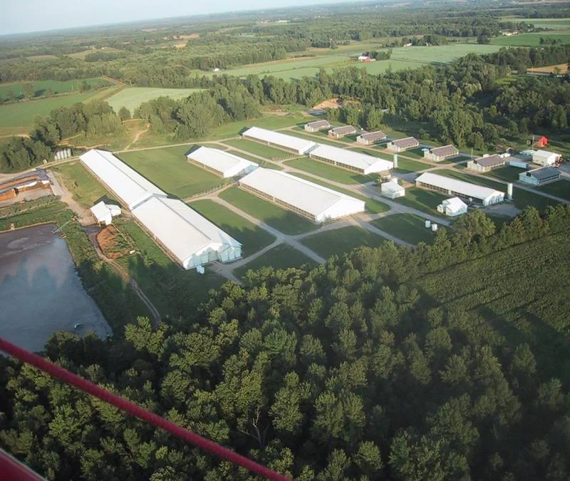 Partners — CY Farms