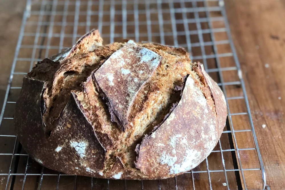 Wholemeal Sourdough Loaf — Bake with Jack