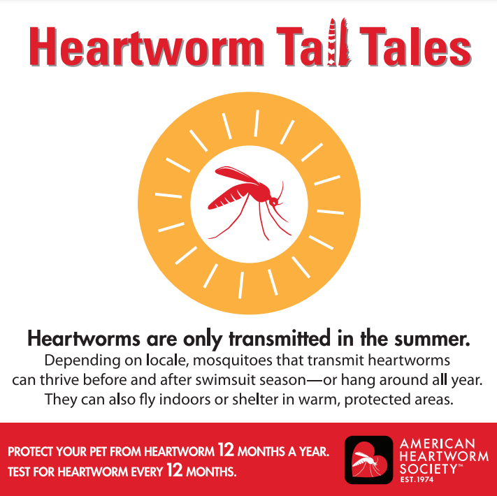 Heartworm Treatment — MOAS Pets