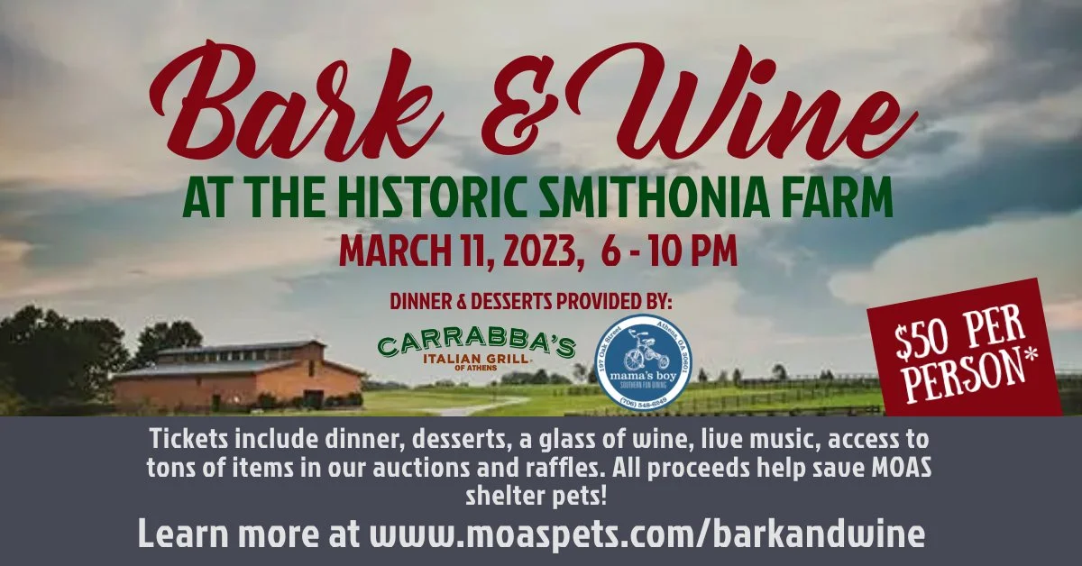 The 8th Annual Bark & Wine — MOAS Pets