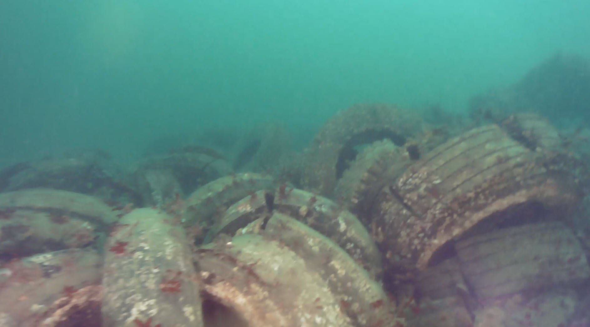 Puget Sound Tire & Trash Reefs — Coastal Sensing & Survey