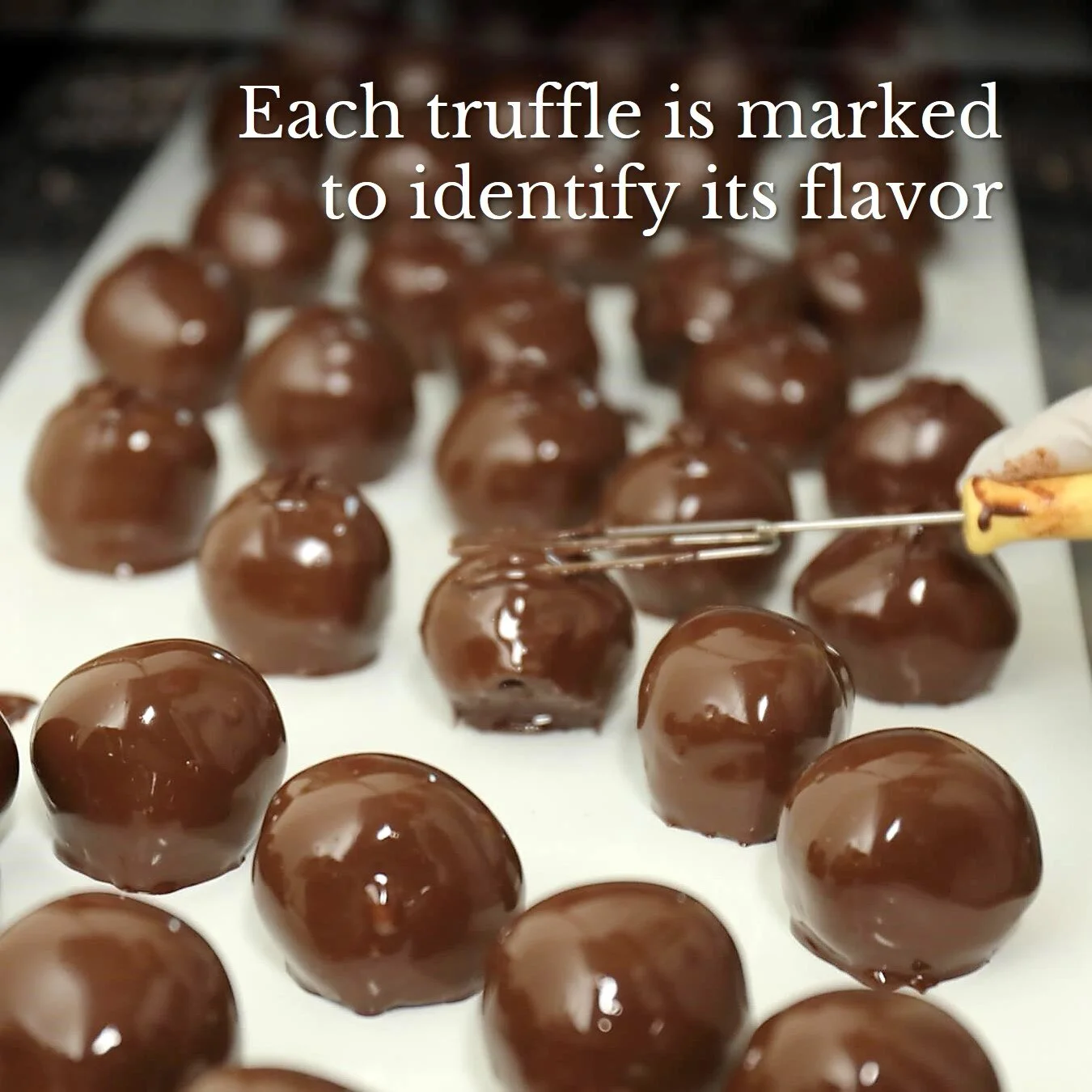 Fresh artisan chocolate - The Brigittine Monks