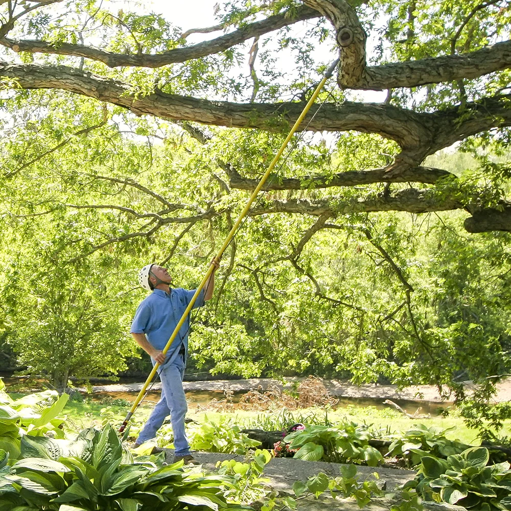 Trees, Forests and Landscapes | St. Louis, MO