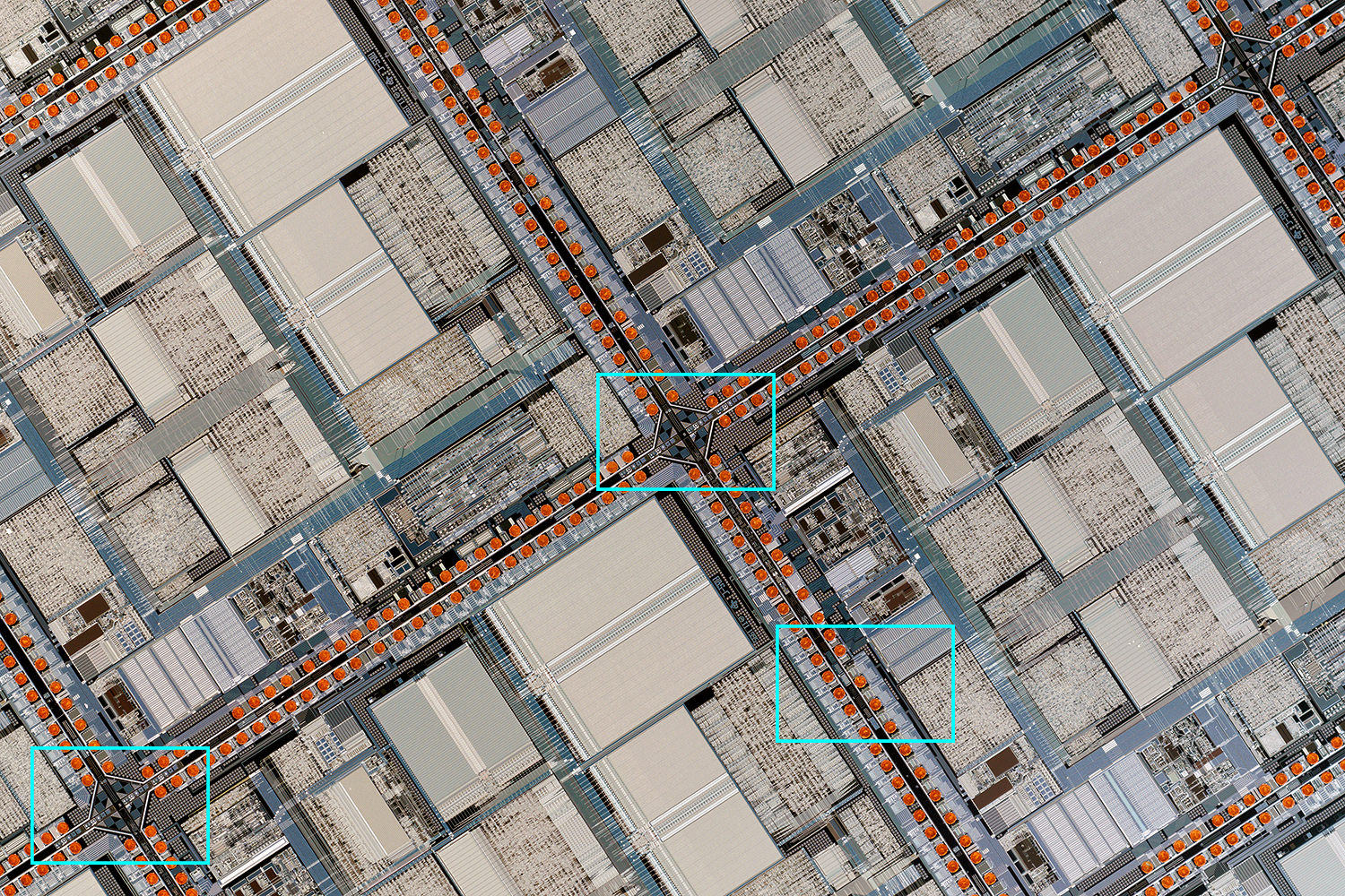 Minolta DiMAGE Scan Elite 5400 Lens — Close-up Photography