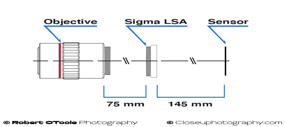 Sigma — Close-up Photography